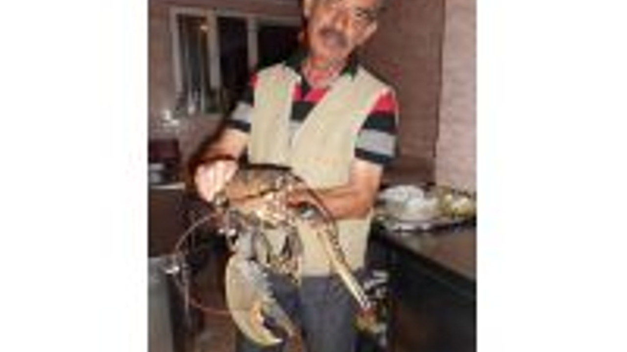 Enez’de Dev Istakoz Şaşkınlığı | Güncel