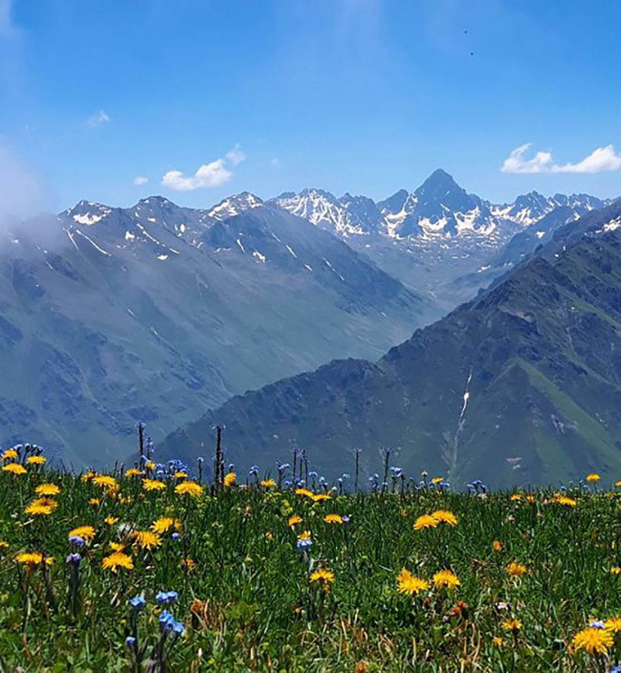 Rize Çayeli'nden kartpostallık görüntüler - Haber3
