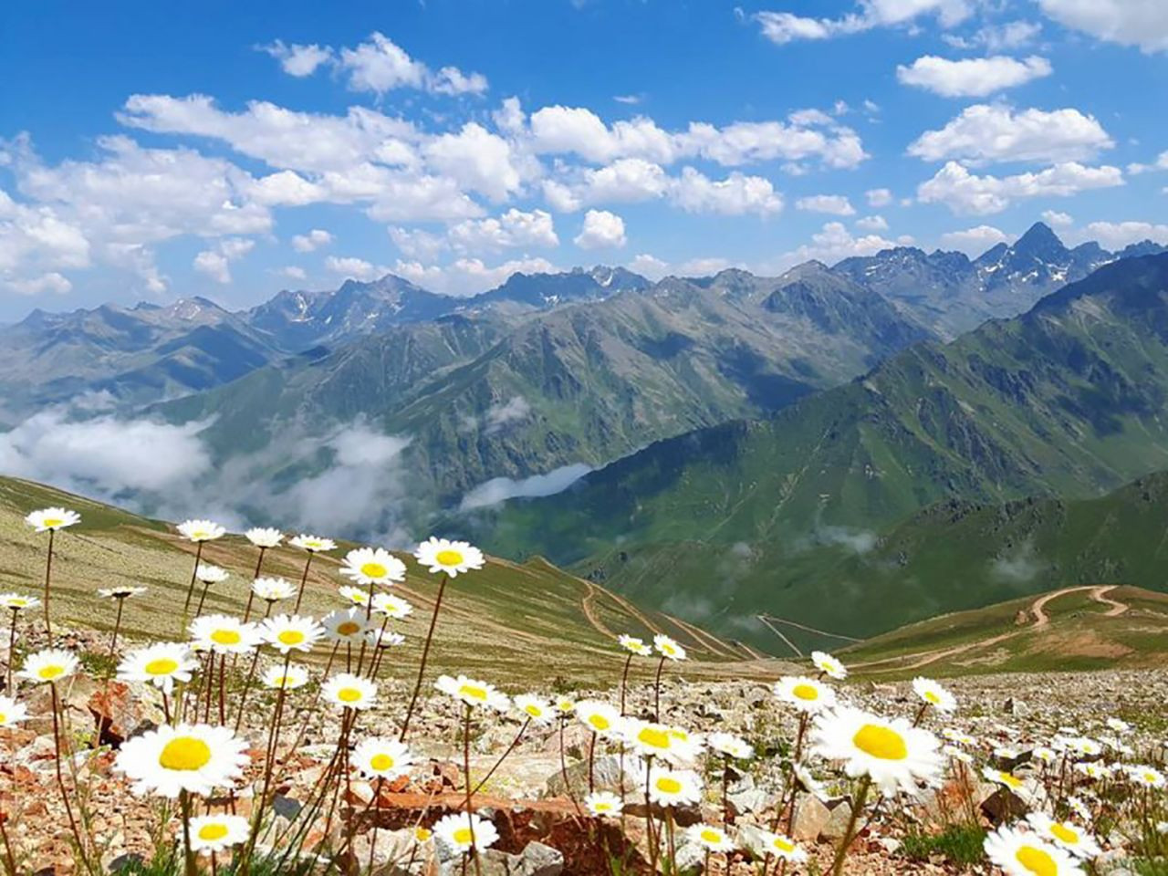 Rize Çayeli'nden kartpostallık görüntüler - Haber3
